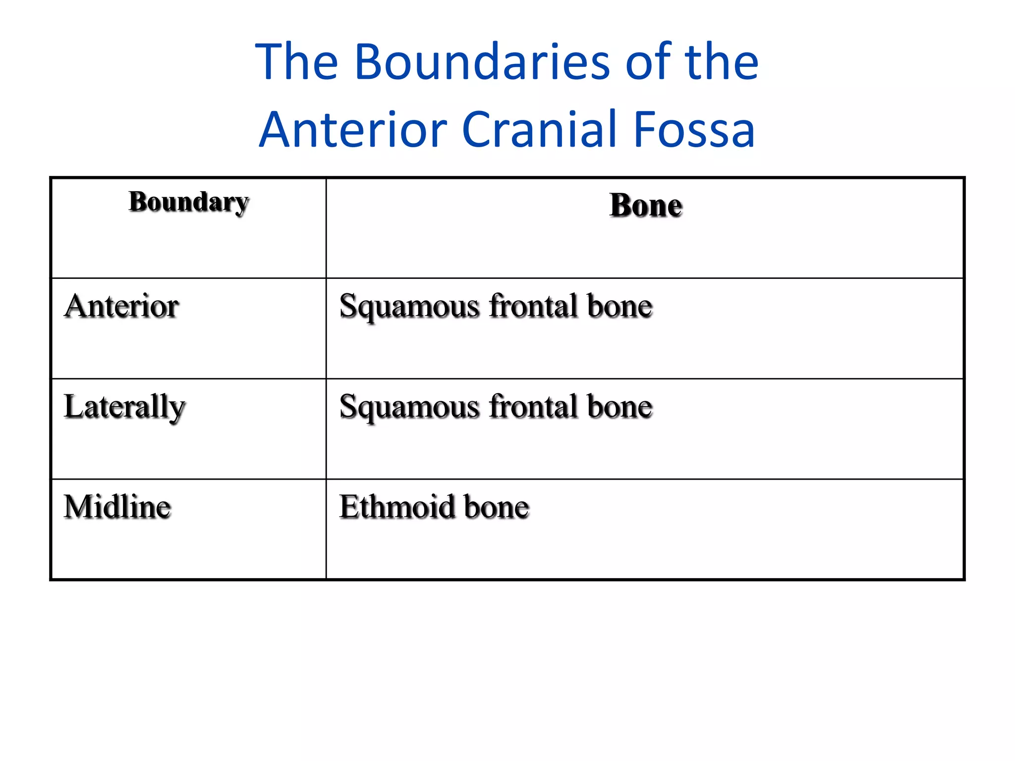 Norma basalis interna | PPTX