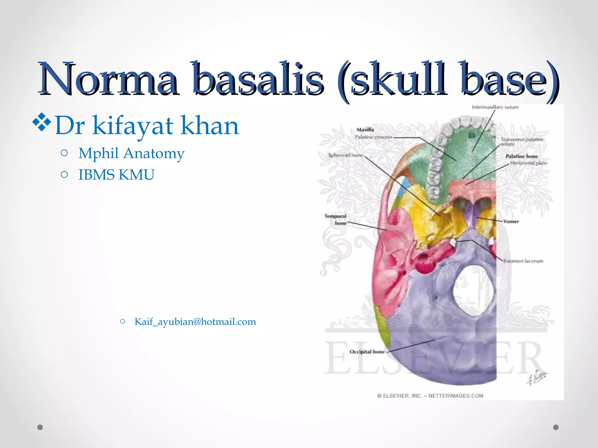 Norma basalis (skull base).pps