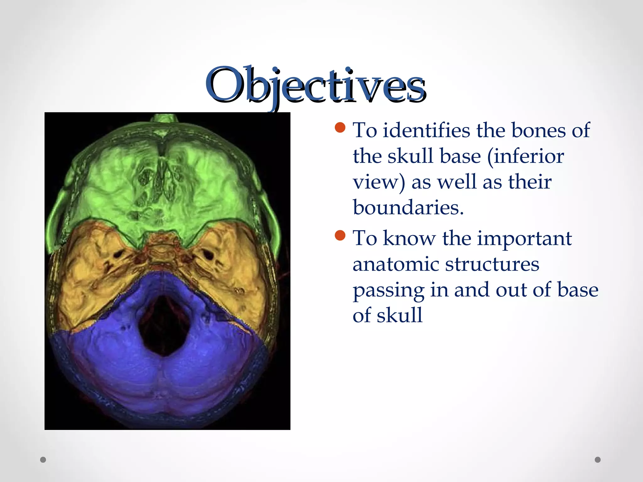 Norma basalis (skull base).pps
