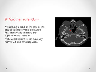 Norma basalis (skull base).pps