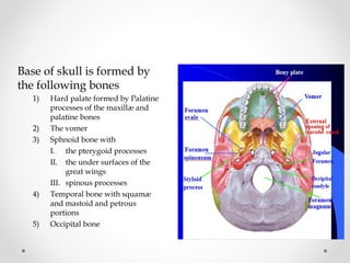Norma basalis (skull base).pps