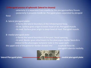 norma b extrnaالثالثه تشريح راس.pptx