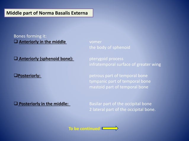 norma b extrnaالثالثه تشريح راس.pptx