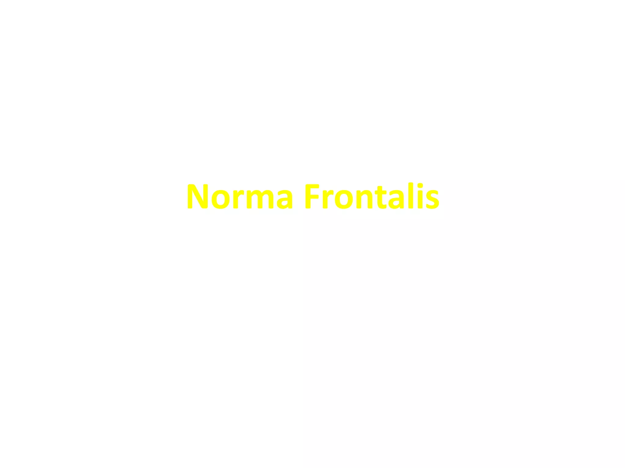 Norma frontalis | PPTX