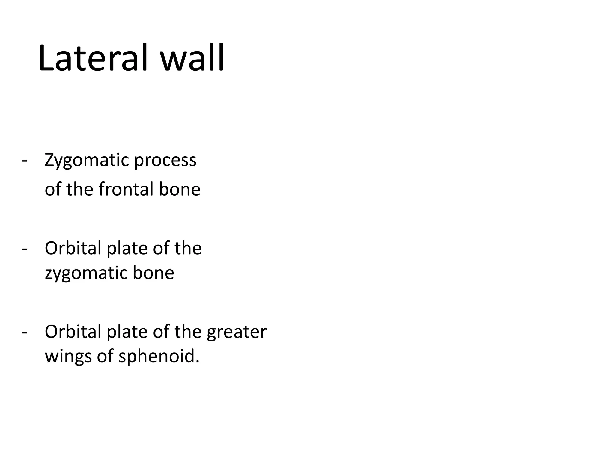 Norma frontalis | PPTX