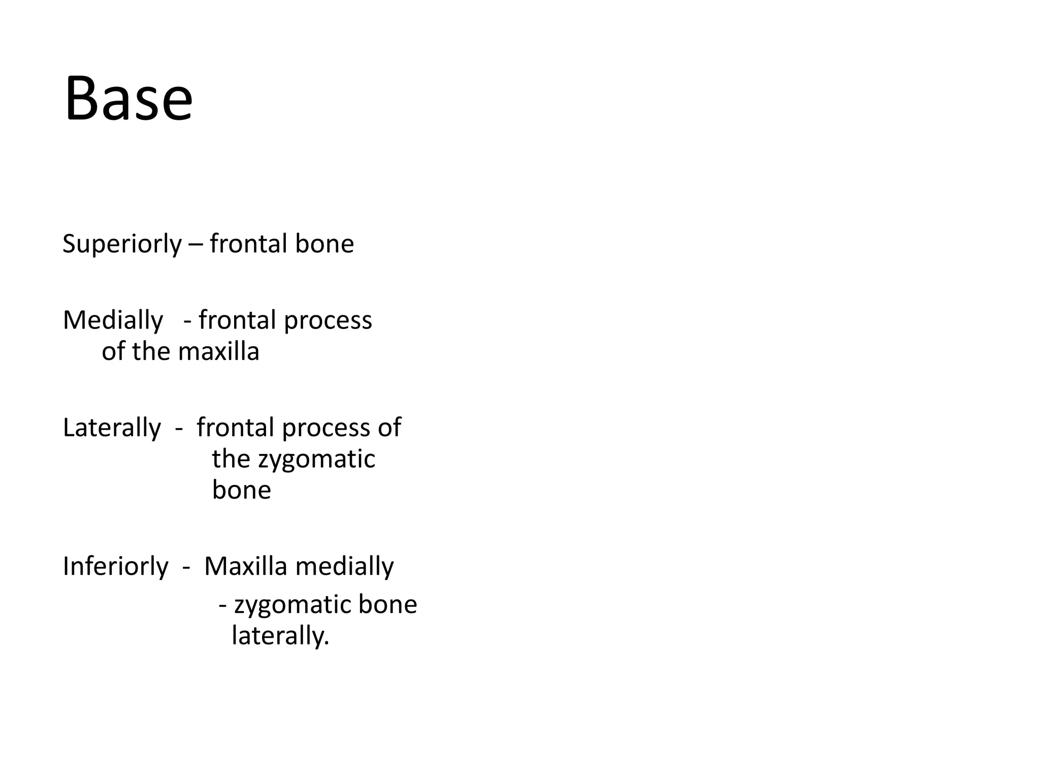 Norma frontalis | PPTX