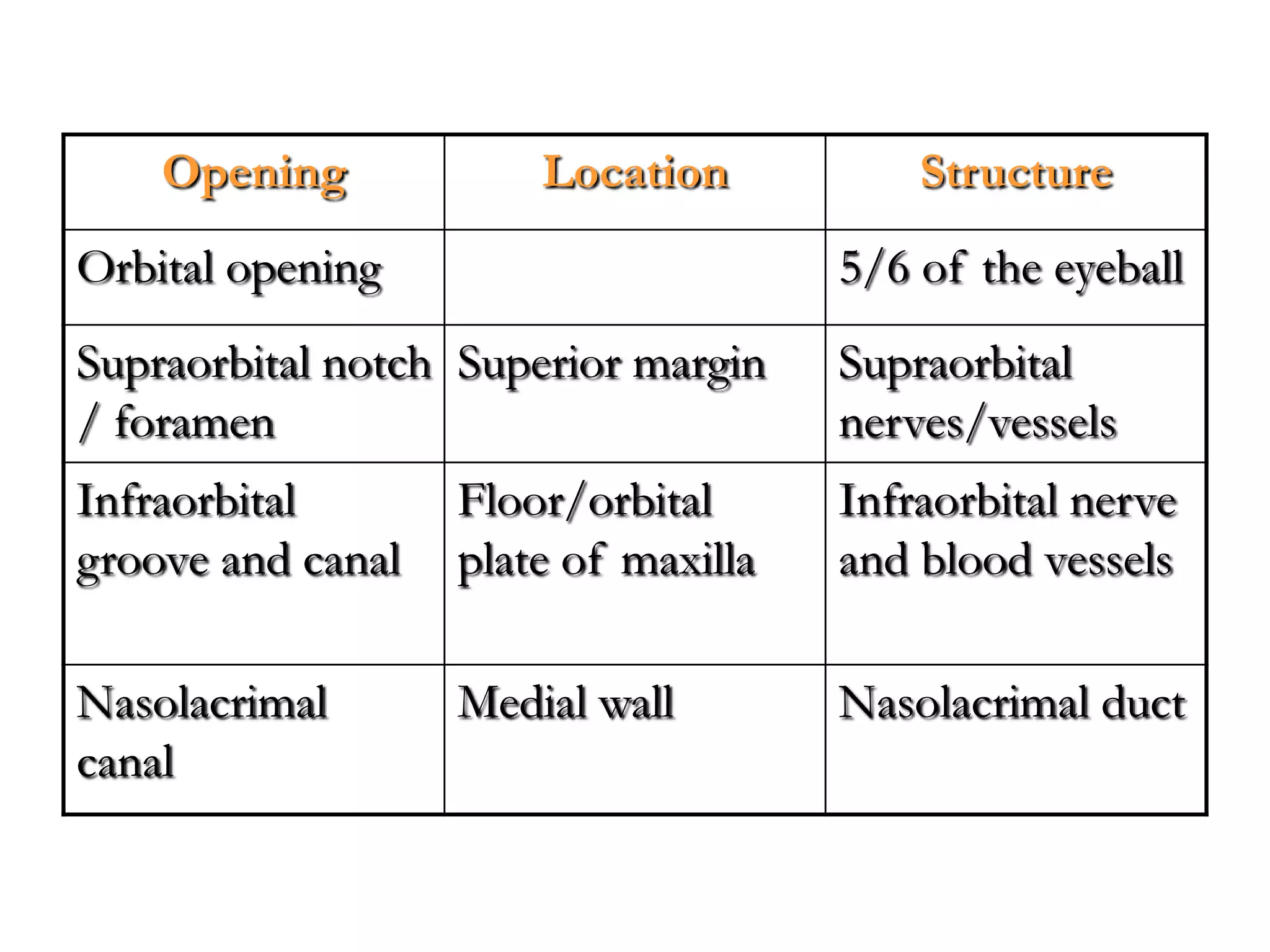 Norma frontalis | PPTX