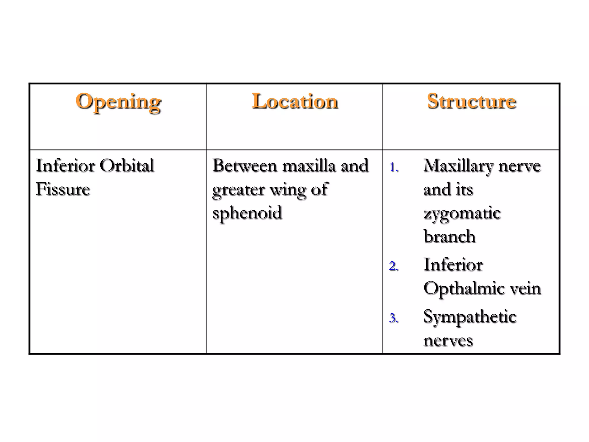 Norma frontalis | PPTX