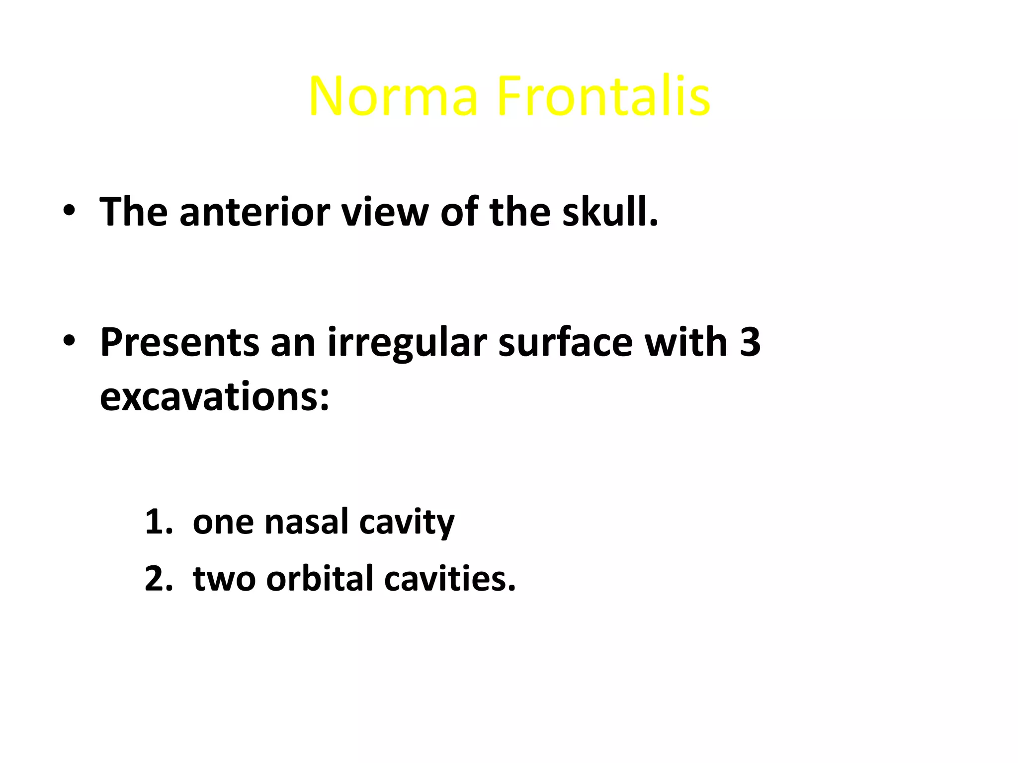 Norma frontalis | PPTX