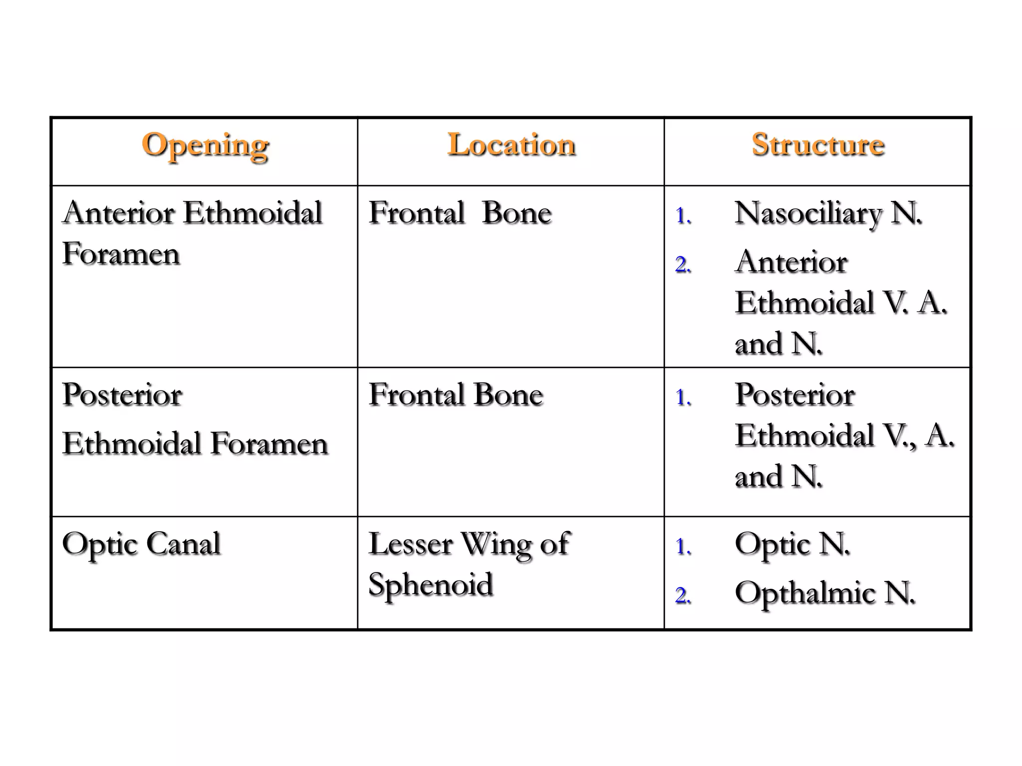 Norma frontalis | PPTX