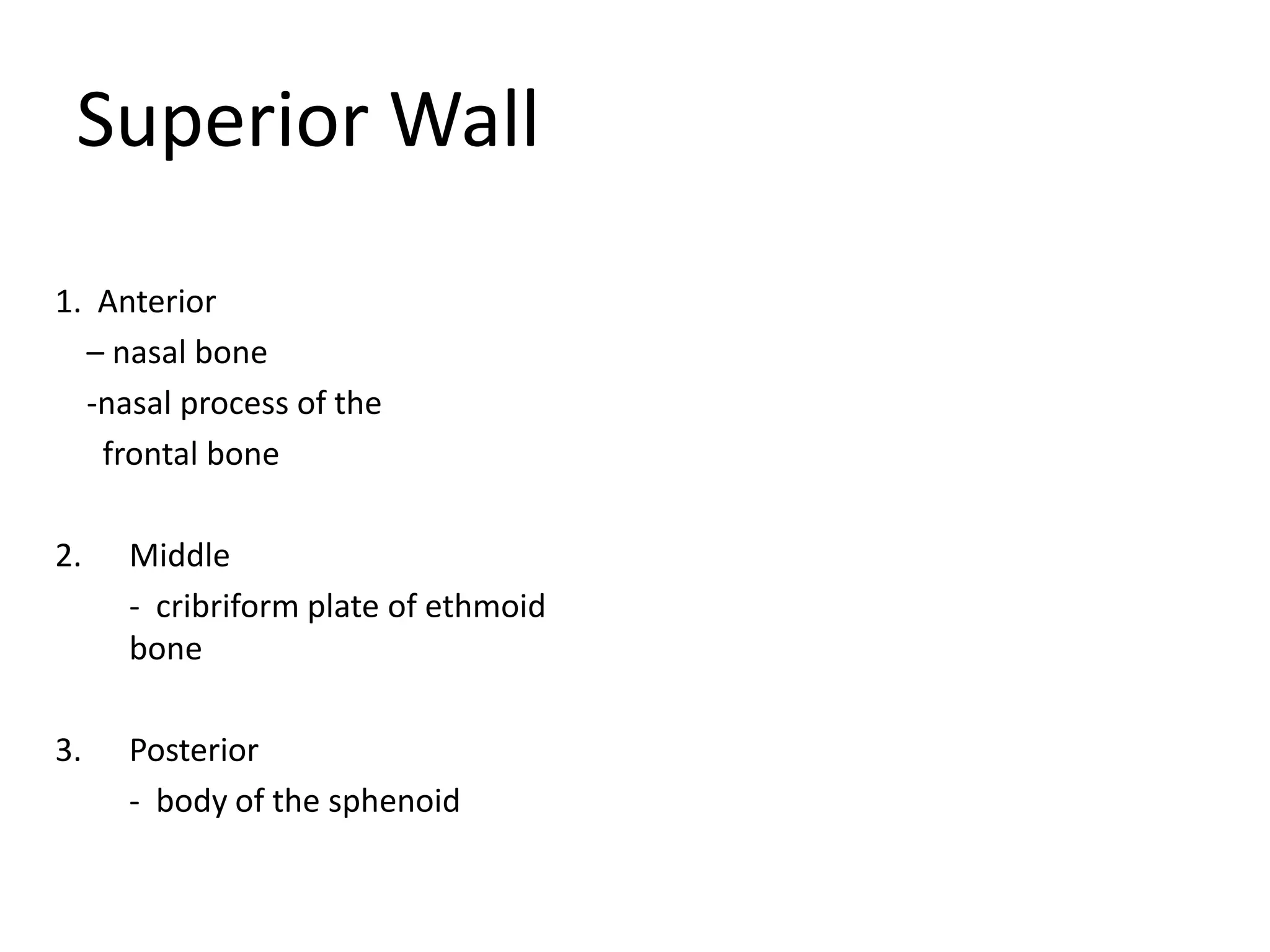 Norma frontalis | PPTX