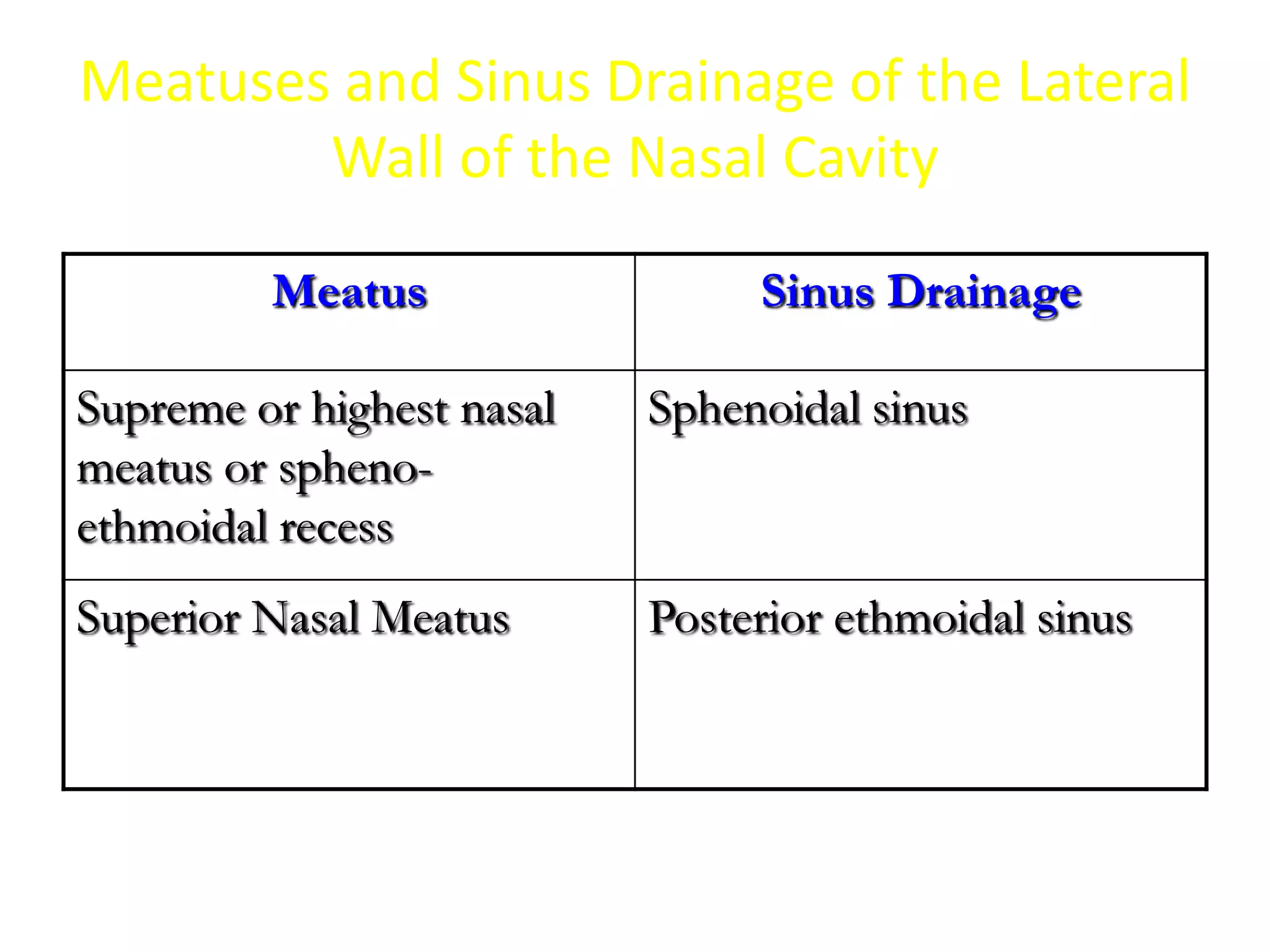 Norma frontalis | PPTX