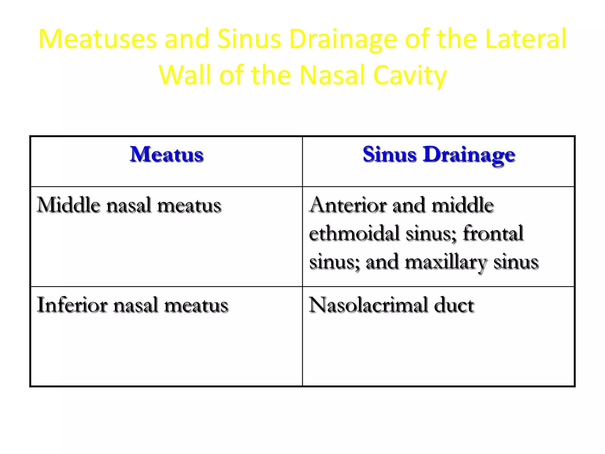 Norma frontalis | PPTX