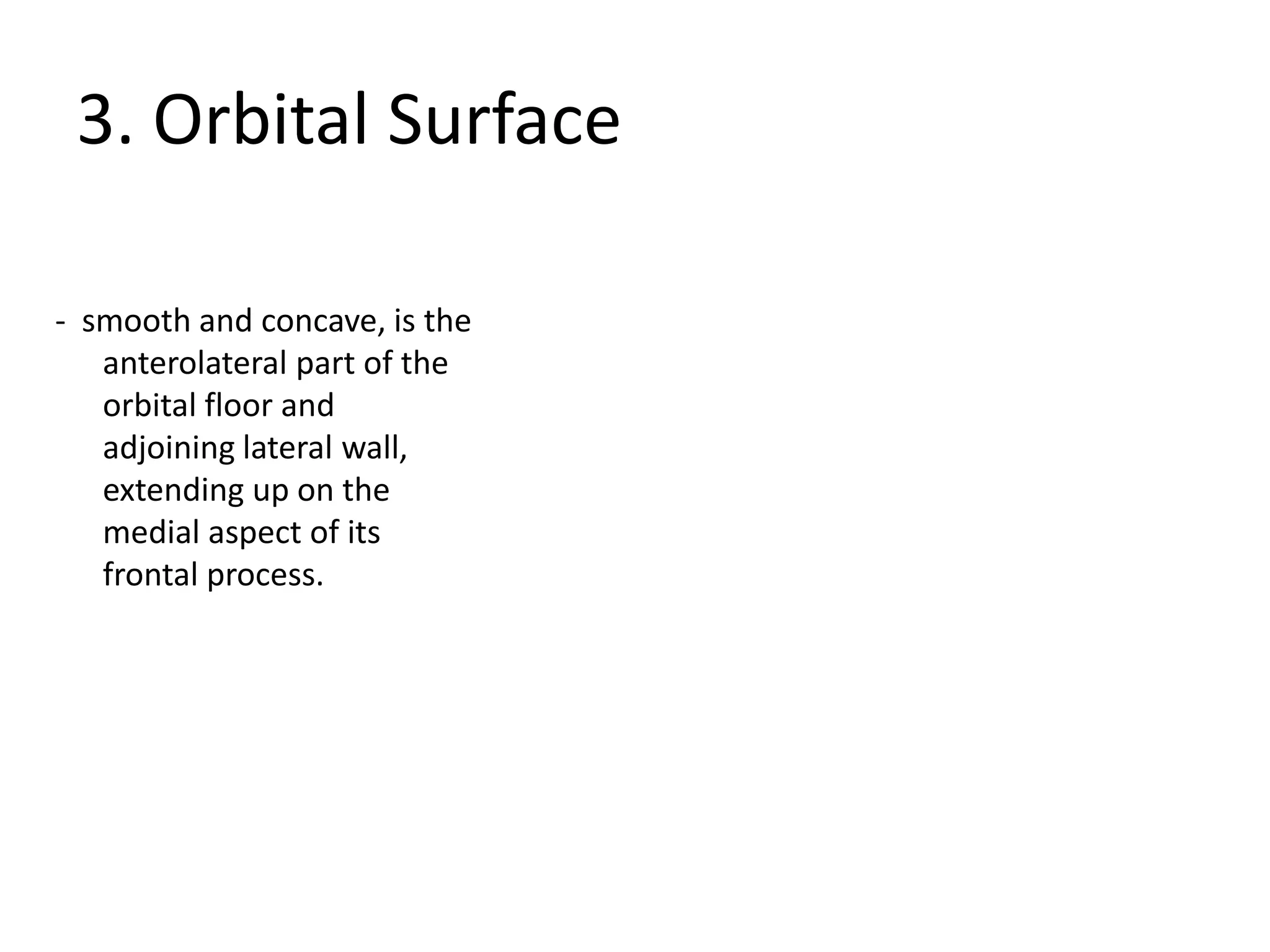 Norma frontalis | PPTX