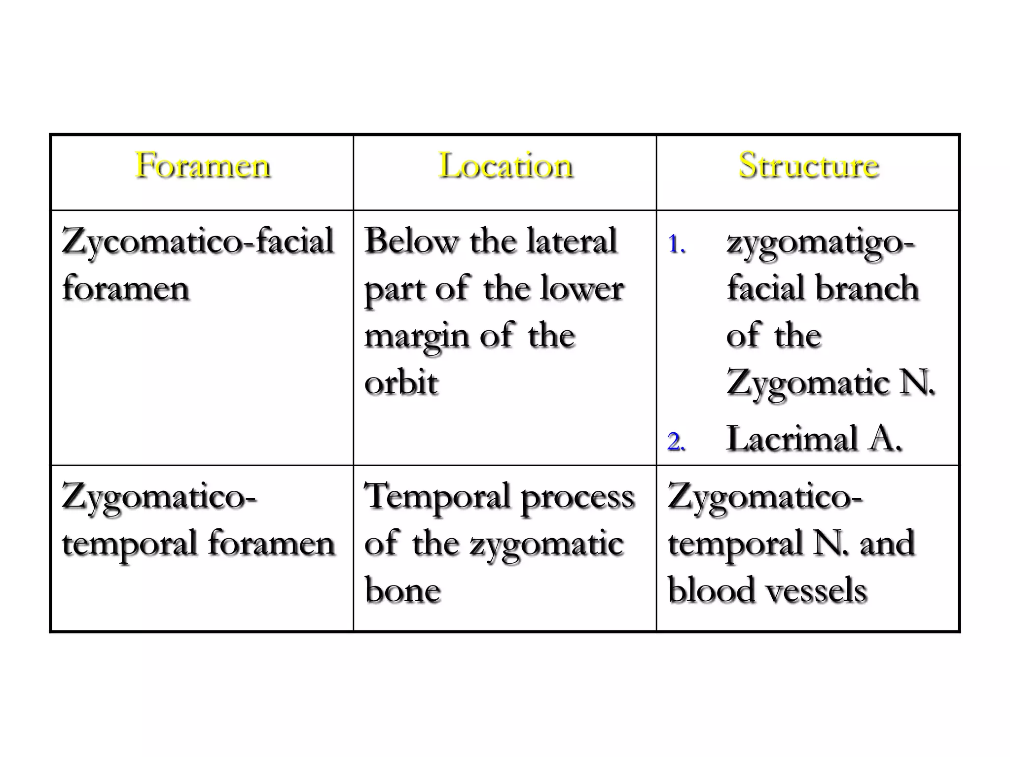 Norma frontalis | PPTX