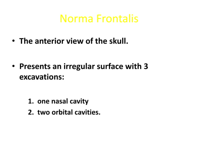 Norma frontalis | PPTX | Ear, Nose and Throat Conditions | Diseases and ...