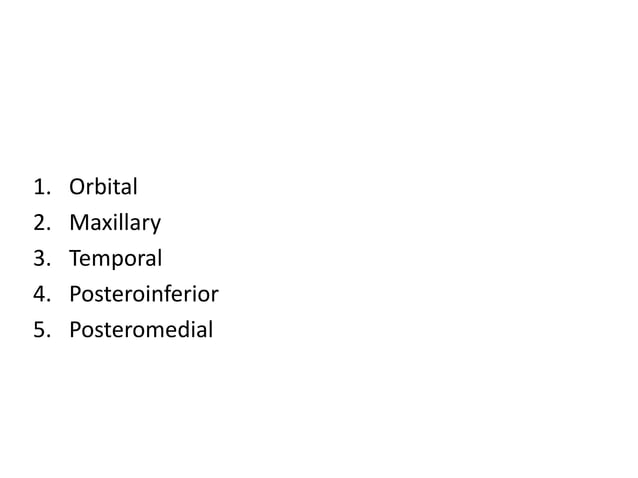 Norma frontalis | PPTX | Ear, Nose and Throat Conditions | Diseases and ...