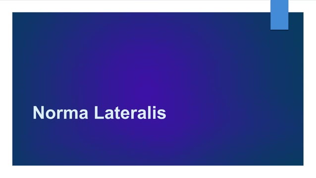 Norma Frontalis, Lateralis, Verticalis, Basalis (cranial base).pptx