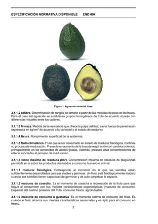 Norma Aguacate Hass - ICONTEC | PDF