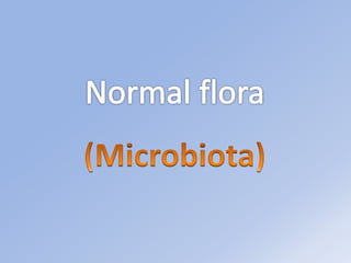 Normal Flora | PPTX