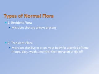 Normal Flora | PPTX