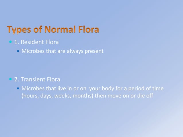 Normal Flora | PPTX