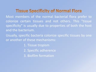 Normal Flora | PPTX