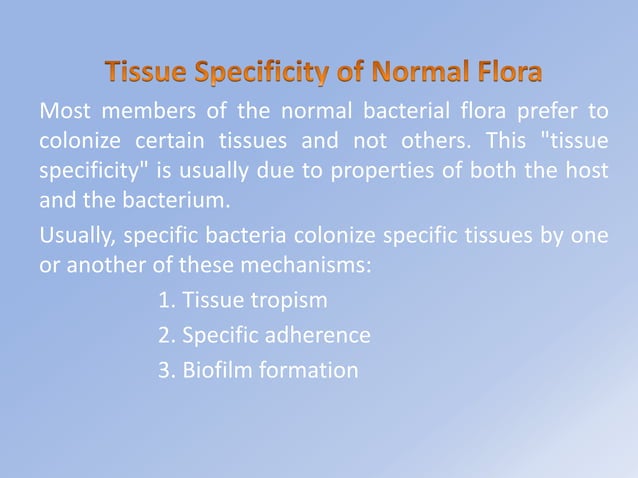 Normal Flora | PPTX