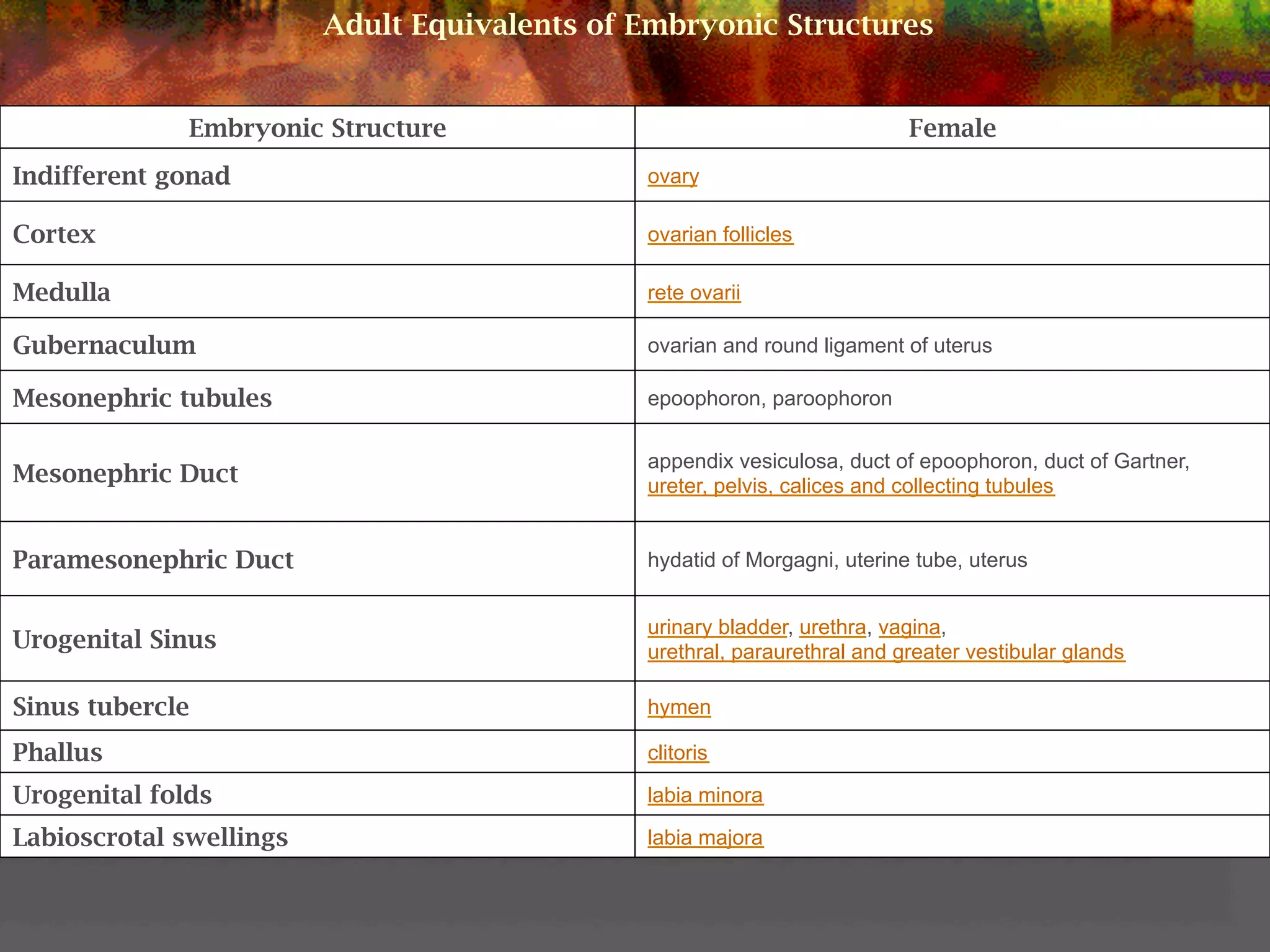 Normal and abnormal genital tract | PDF