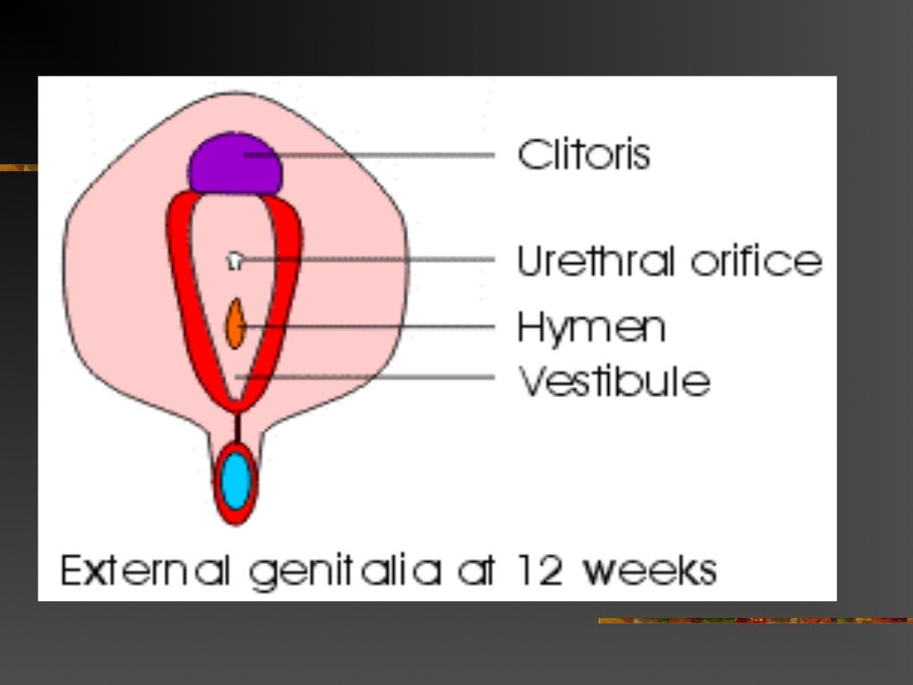 Normal And Abnormal Genital Tract