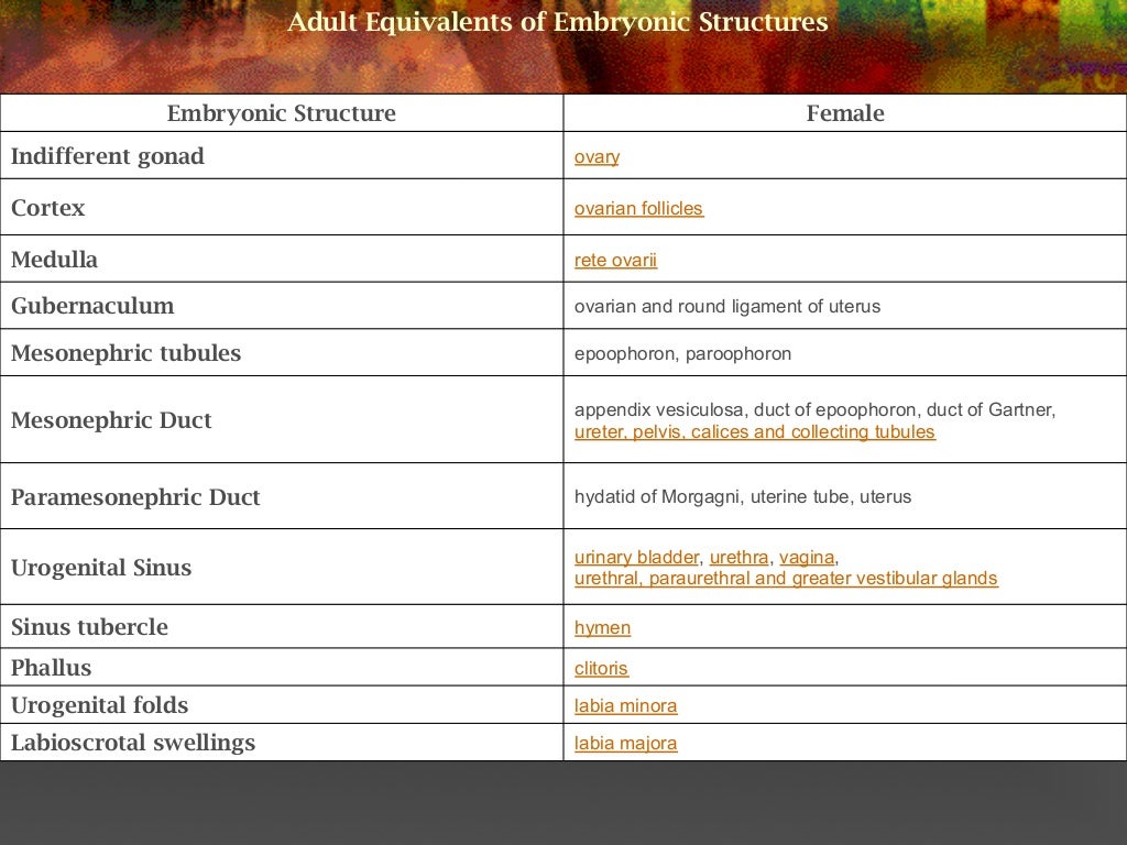Normal And Abnormal Genital Tract