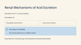 Normal-Acid-Base-Balance Presentation Pathophysiology.pptx