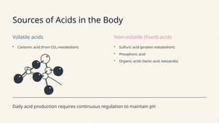 Normal-Acid-Base-Balance Presentation Pathophysiology.pptx