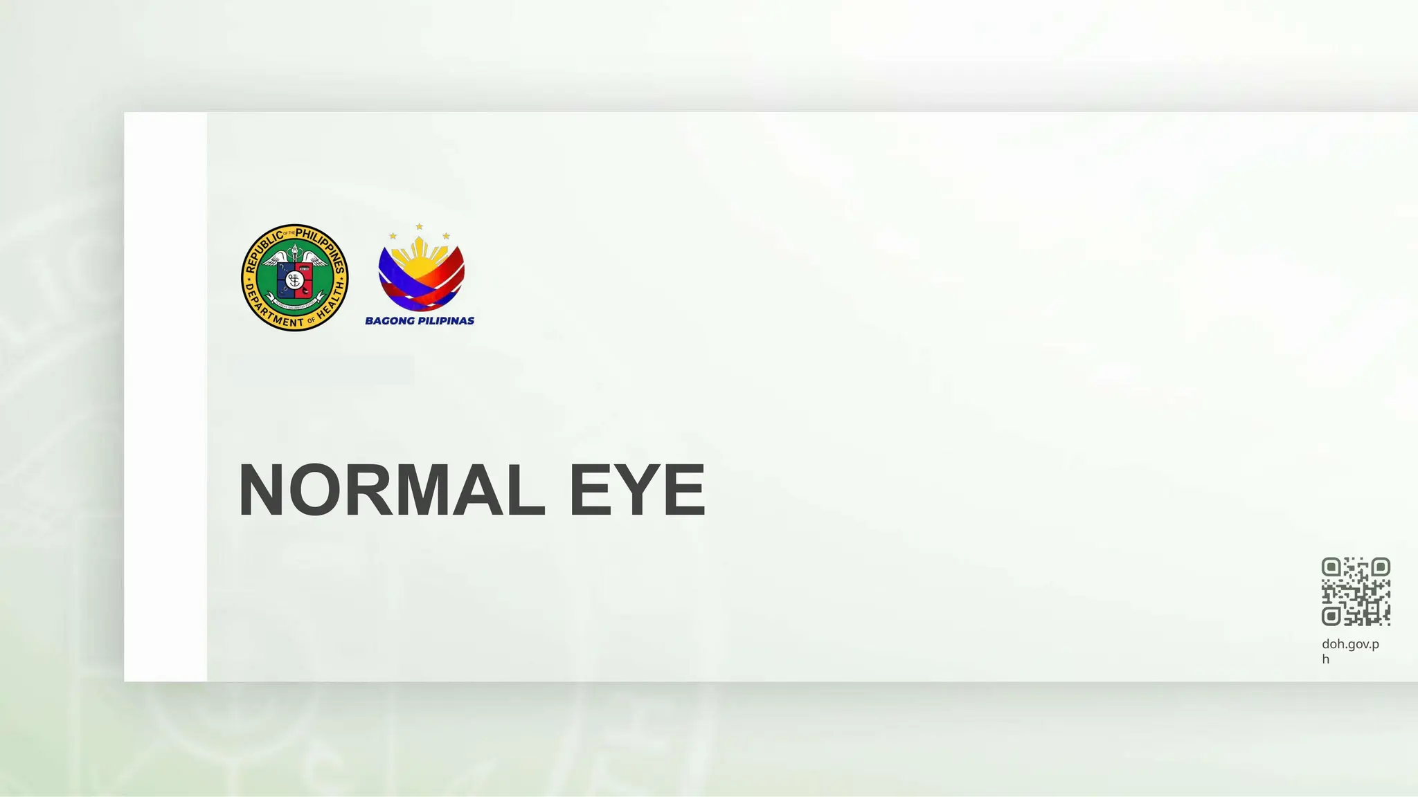 THE NORMAL EYE ASSESSMENT AND CHECK UP.pptx