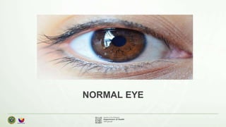 THE NORMAL EYE ASSESSMENT AND CHECK UP.pptx