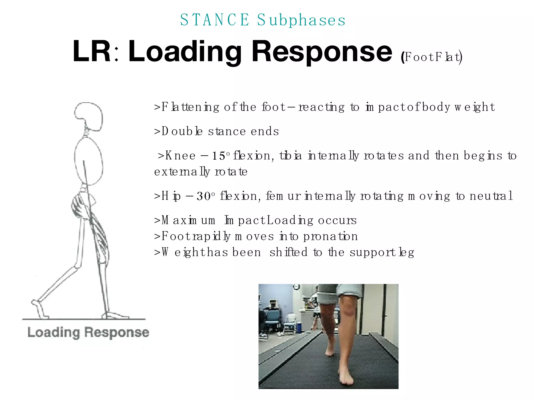 Normal Gait Cycle | PPT