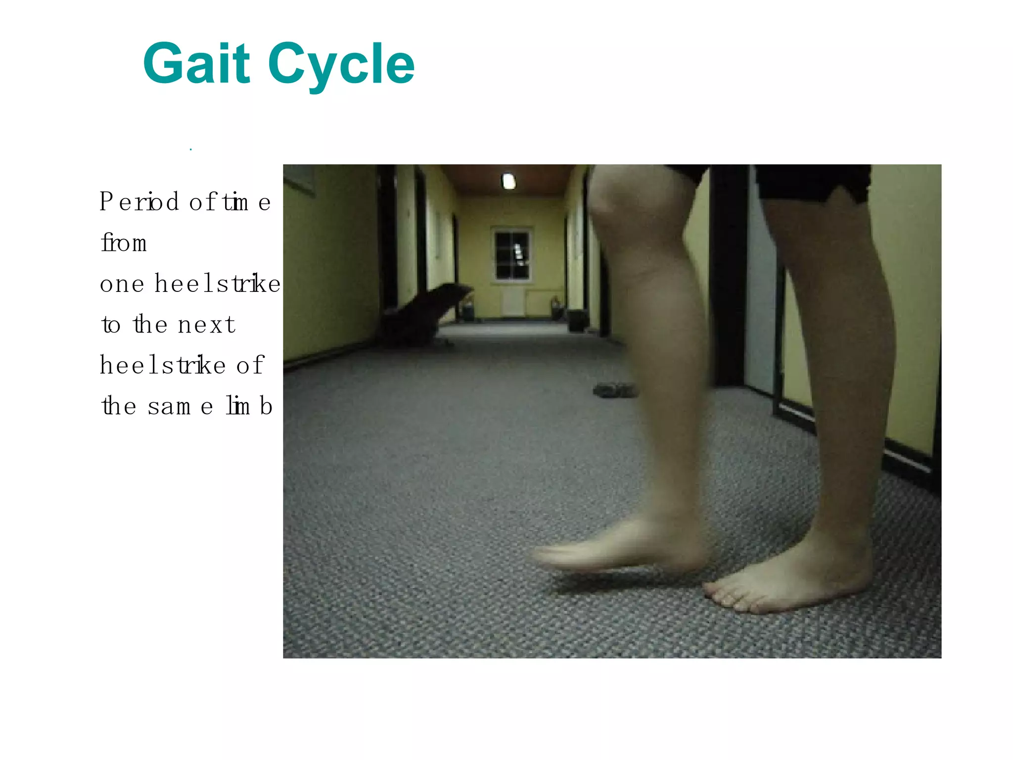 Normal Gait Cycle | PPT