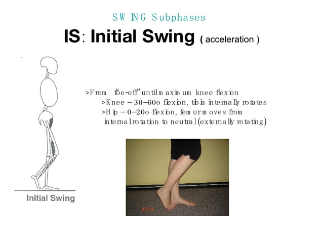 Normal Gait Cycle | PPT