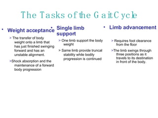 Normal Gait Cycle | PPT