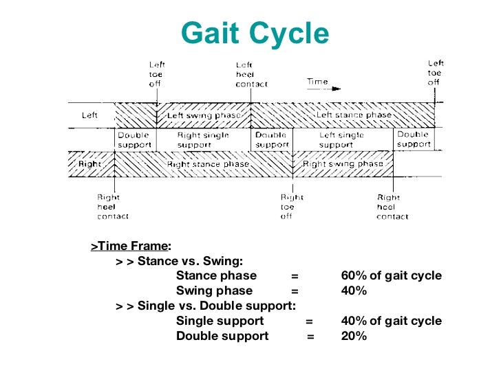 Phases Of The Normal Gait Cycle Download Scientific Diagram - Bank2home.com