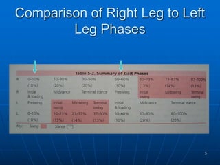 Normal-Gait-ilovepdf-compressed for limb.pdf