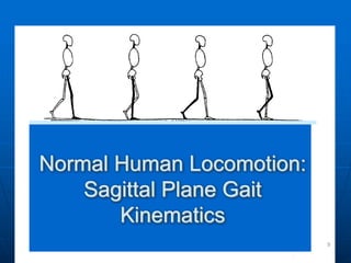 Normal-Gait-ilovepdf-compressed for limb.pdf