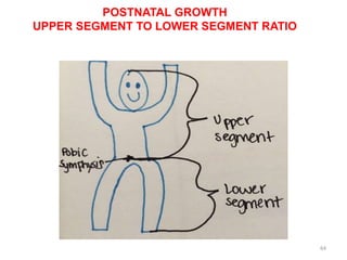 Normal growth in pediatrics | PPT