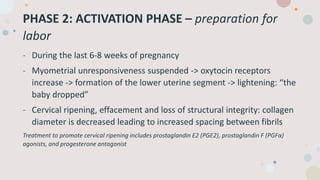 Obstetrics normal-labor-and-delivery.pptx