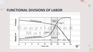 Obstetrics normal-labor-and-delivery.pptx