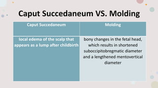 Obstetrics normal-labor-and-delivery.pptx