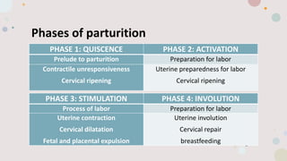 Obstetrics normal-labor-and-delivery.pptx