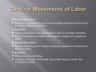 Normal labor-and-delivery by Dr syed khawar | PPT