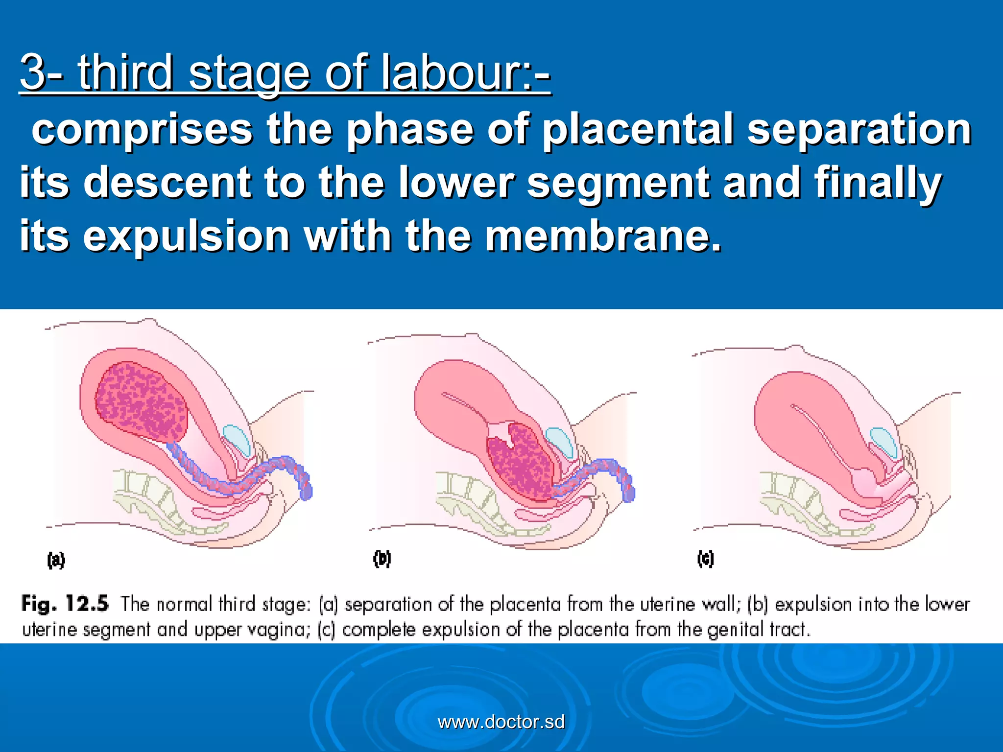 Normal labour | PPT