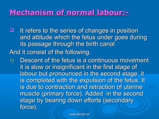 Normal labour | PPT